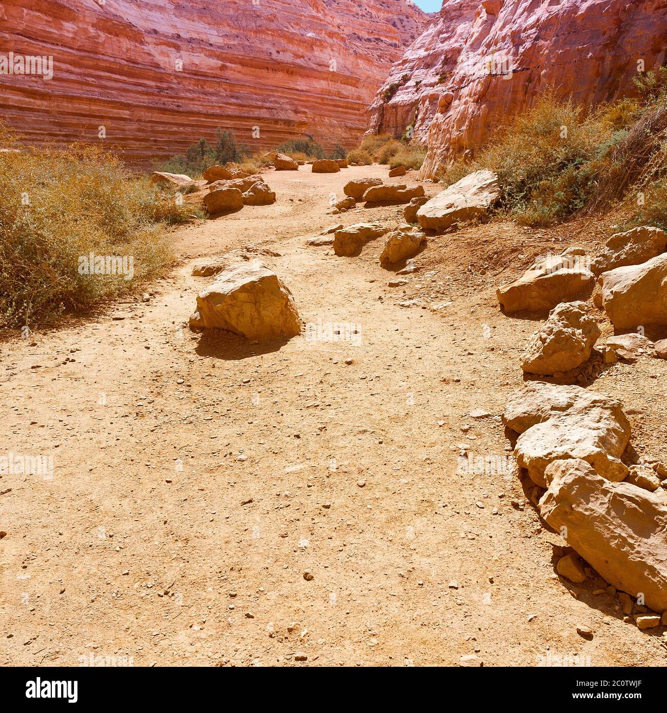 Canyon in Desert Stock Photo - Alamy