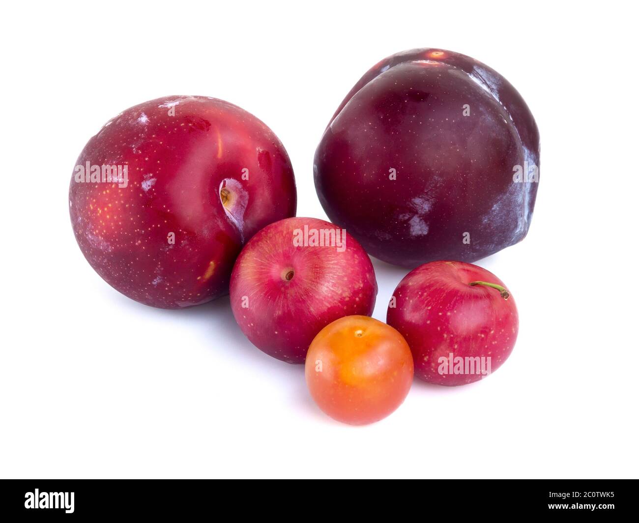 A few plums of different varieties isolated on white background Stock ...