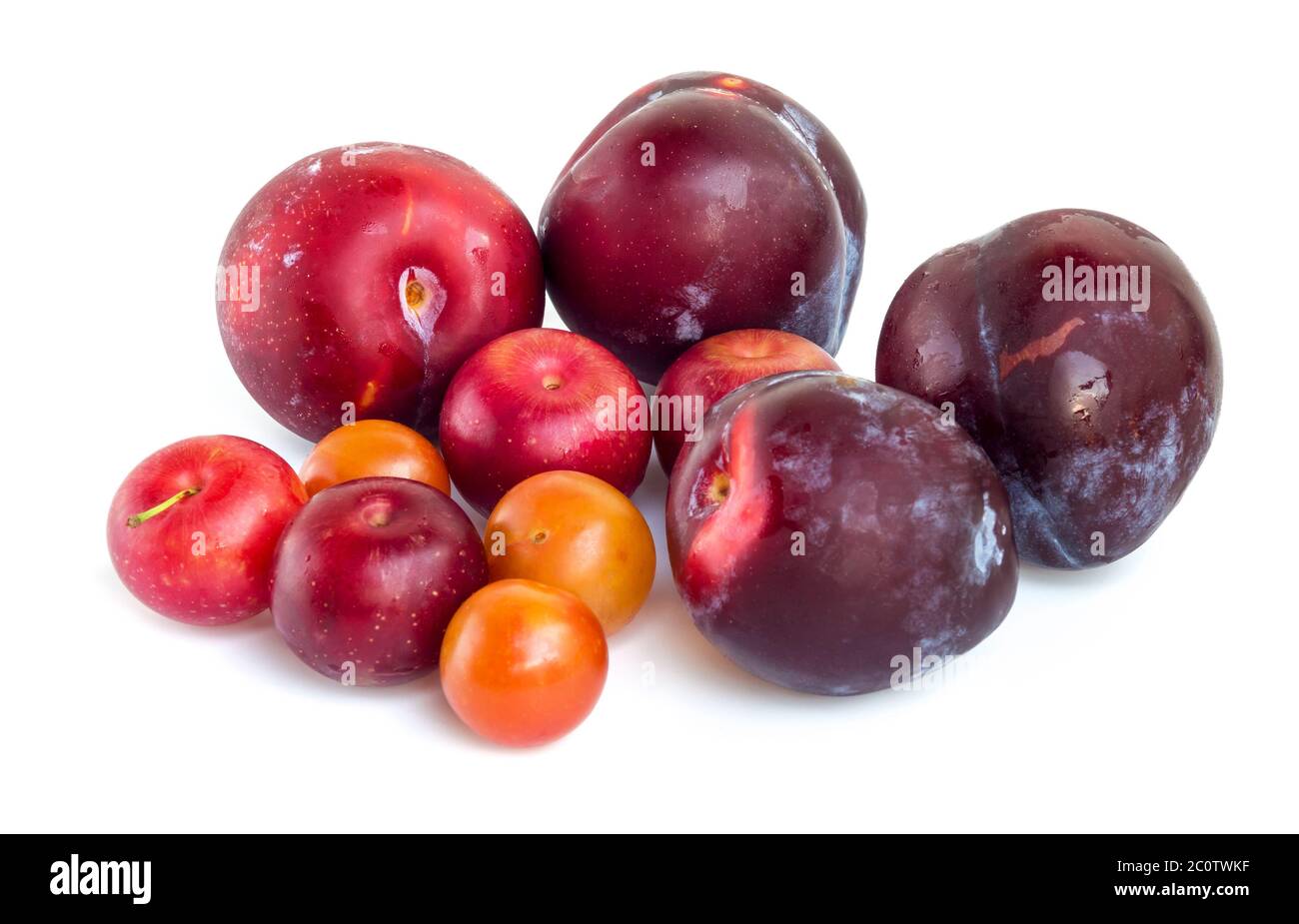 Plum varieties hi-res stock photography and images - Alamy
