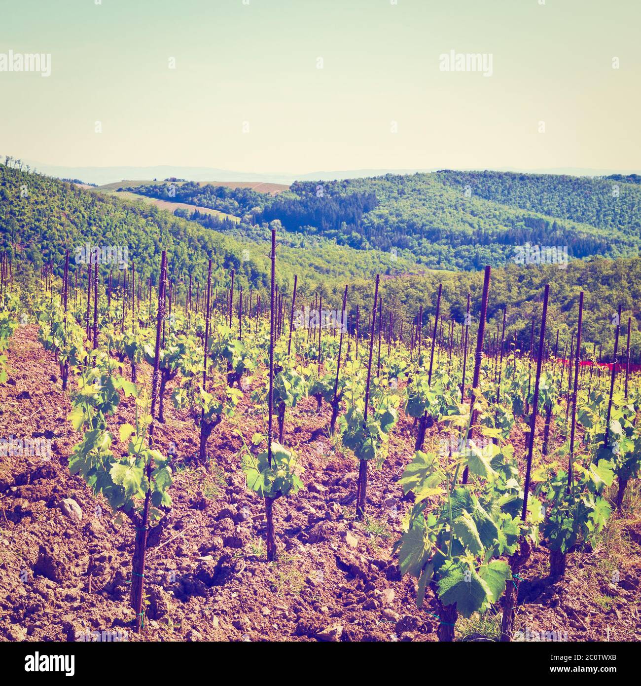 Gar square hi-res stock photography and images - Alamy