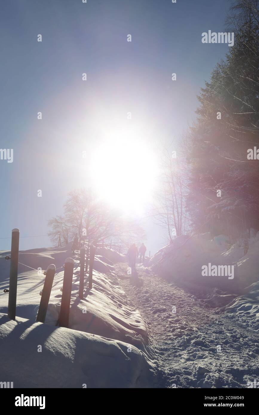 European winter landscape (Switzerland Stock Photo - Alamy