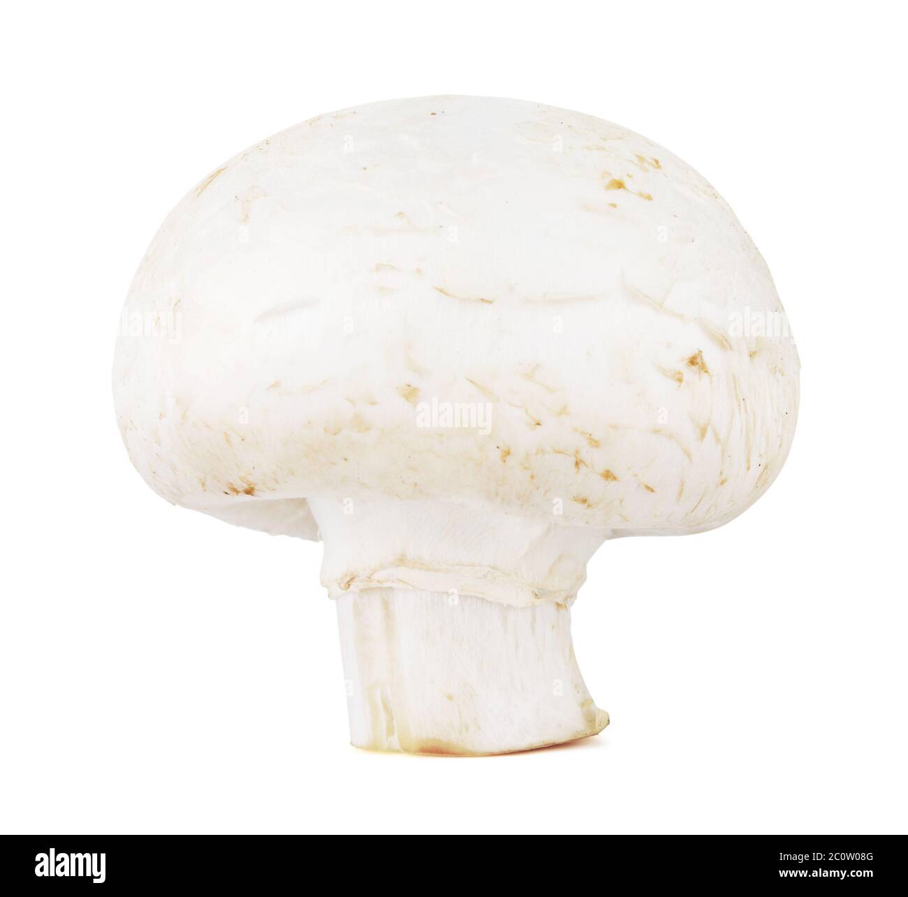 Fresh Champignon Mushroom Stock Photo - Alamy