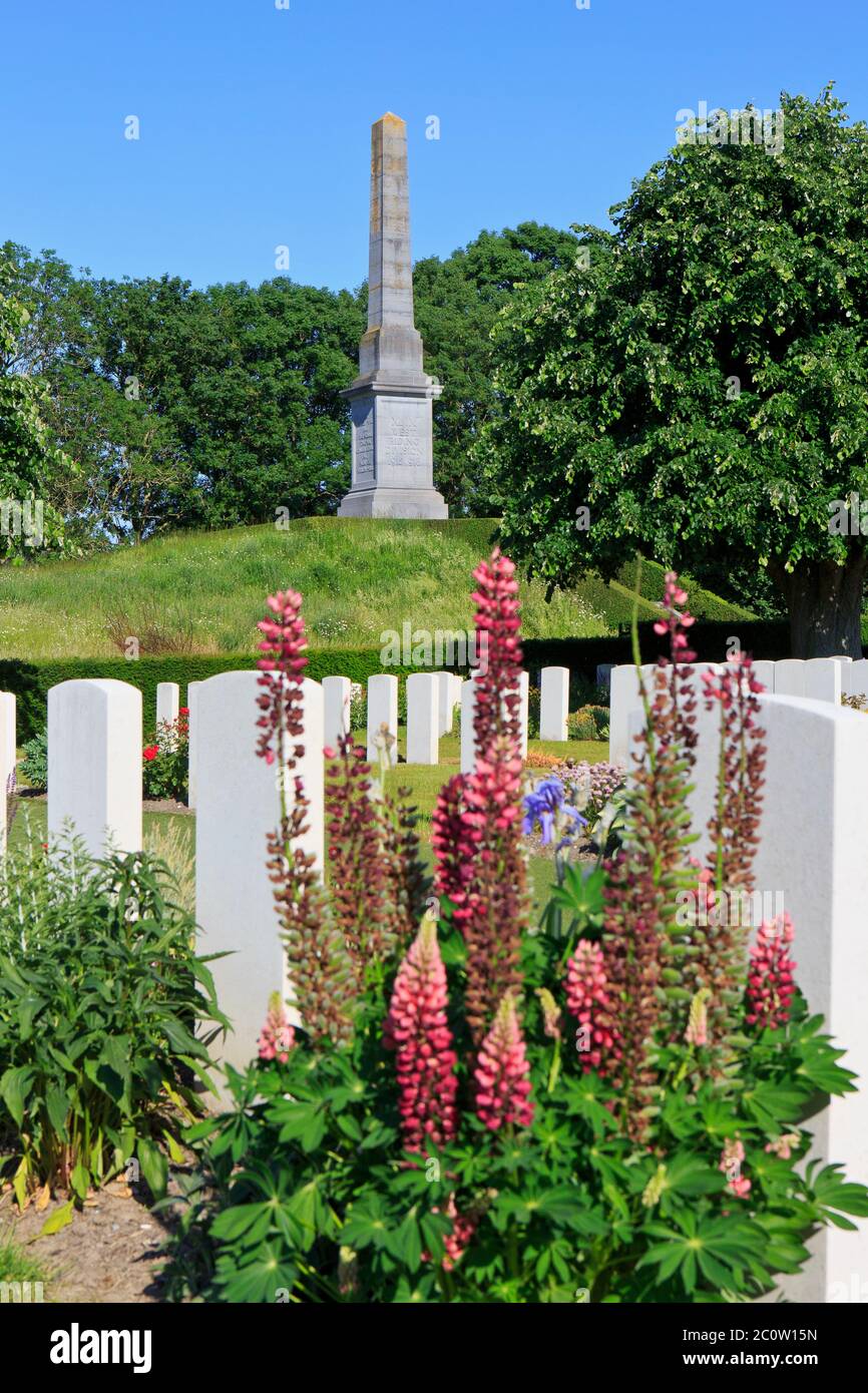 49th infantry division hi-res stock photography and images - Alamy