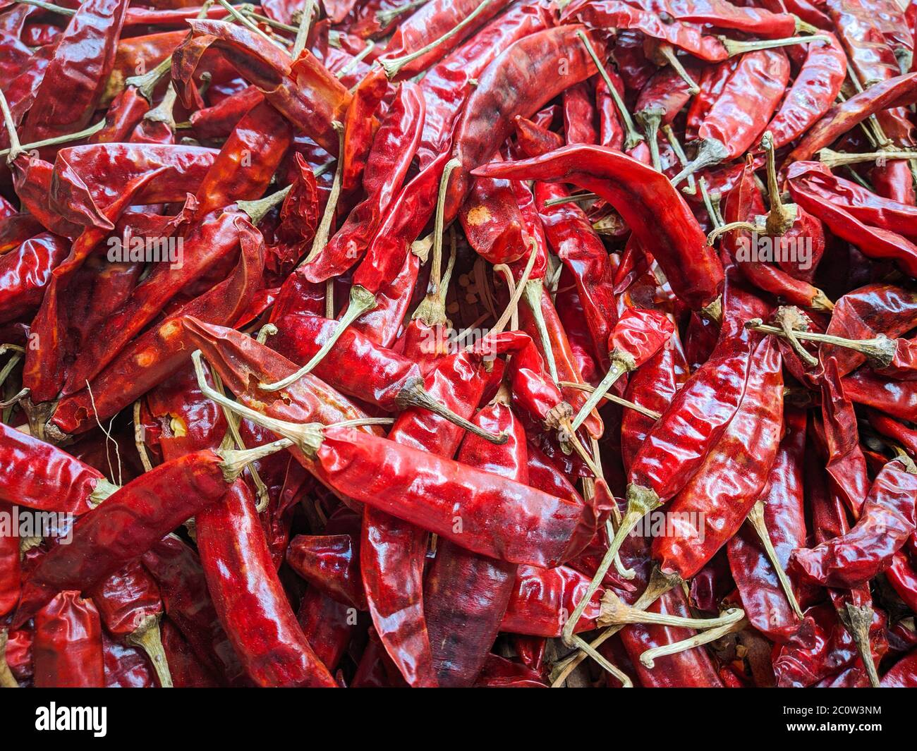 Fresh red chilli isolated stock images Stock Photo - Alamy