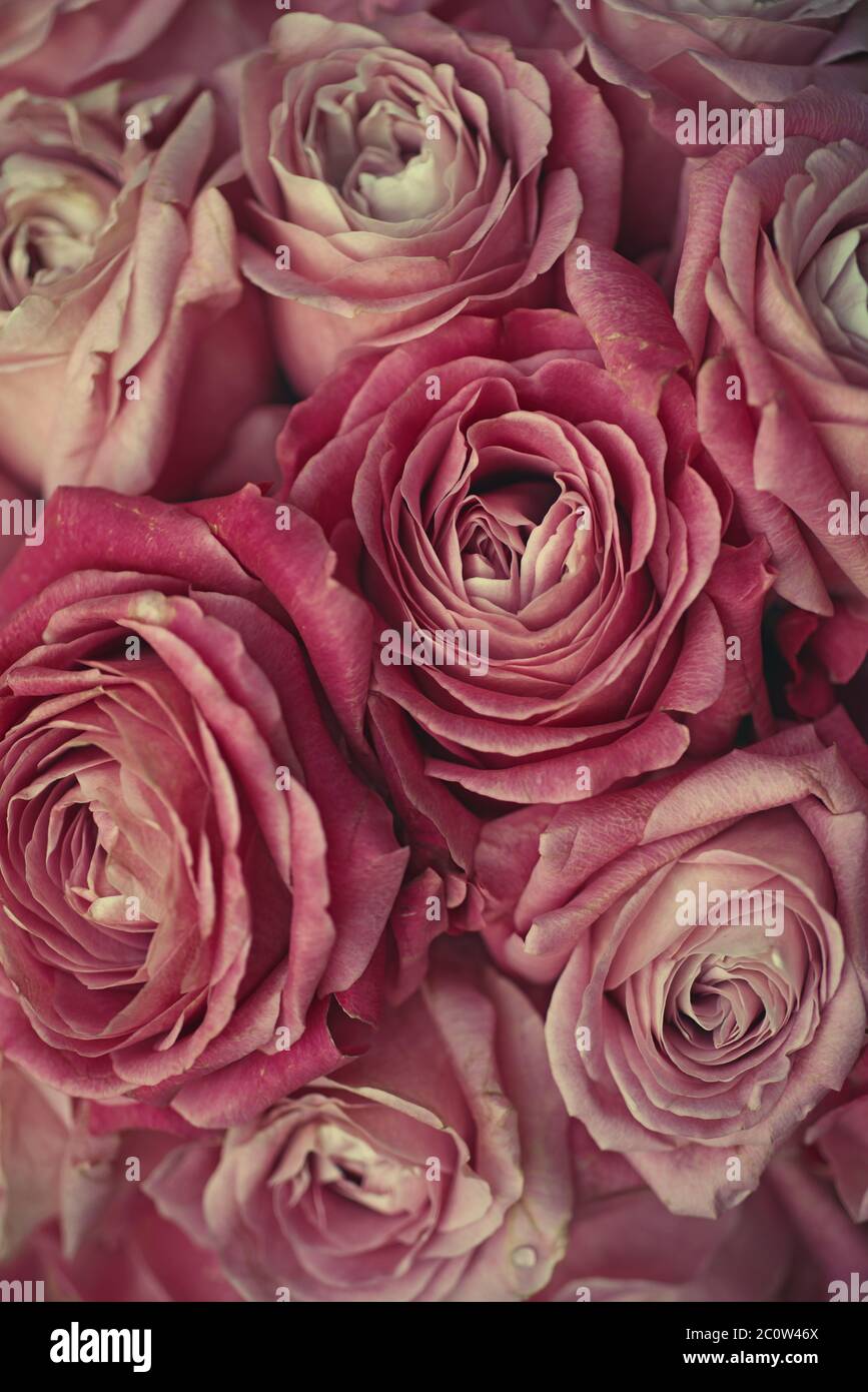 Lovely flower arrangement Stock Photo - Alamy