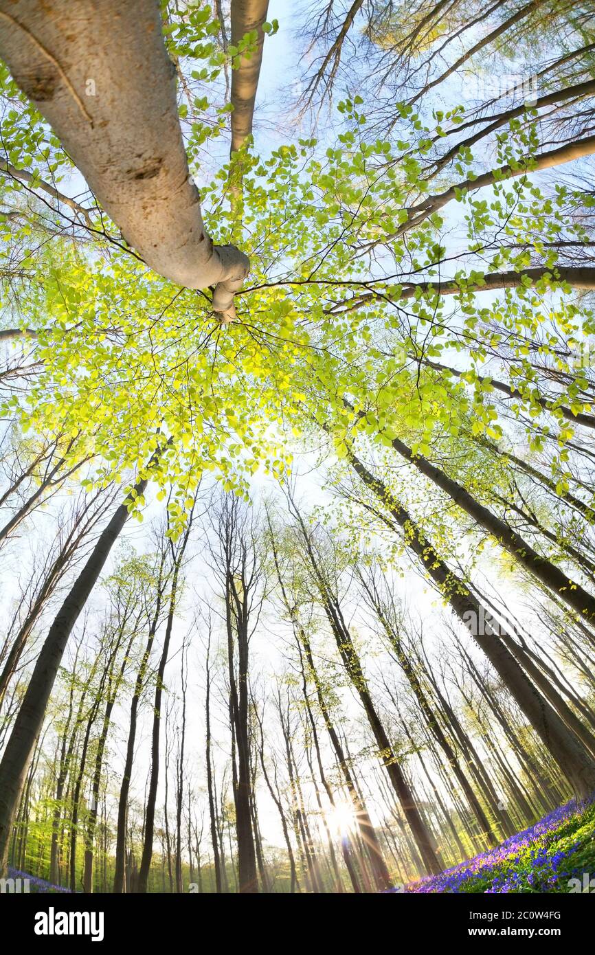 Angle sunlight hi-res stock photography and images - Alamy