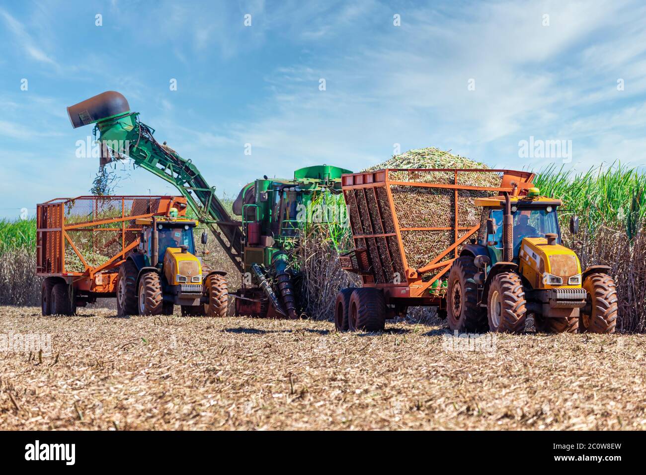 Machine harvesting sugar cane plantation Stock Photo - Alamy