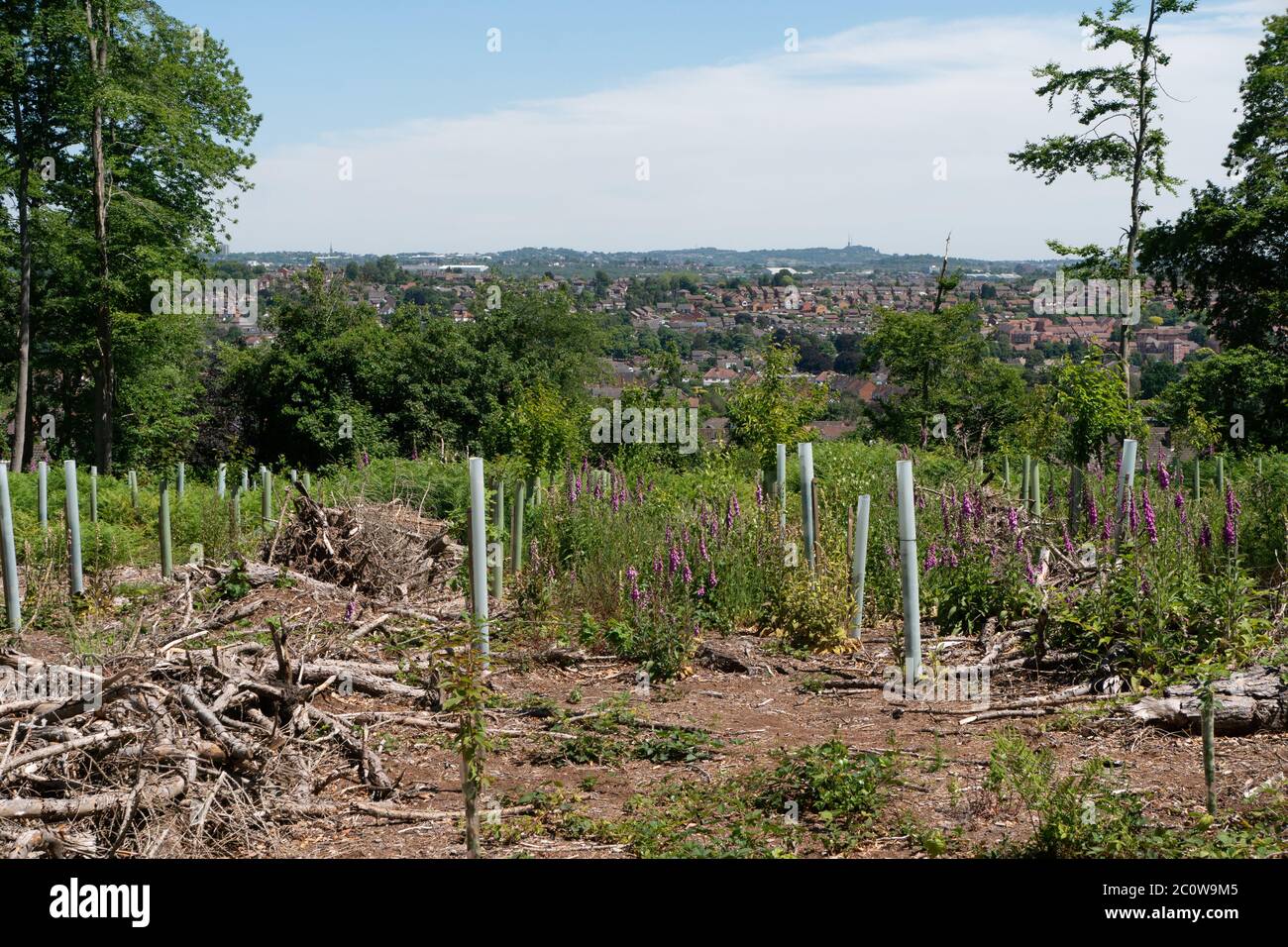 Kingswinford hi-res stock photography and images - Alamy