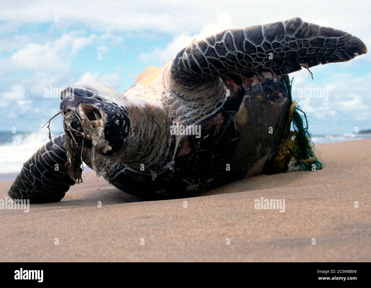 Muffled hi-res stock photography and images - Alamy