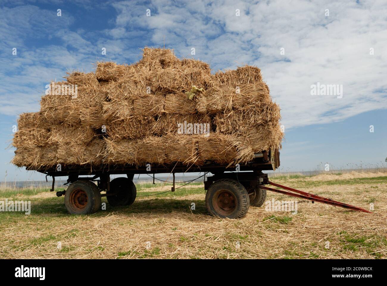 blue fodder horizon agriculture farming field wheels acre cloudy ...