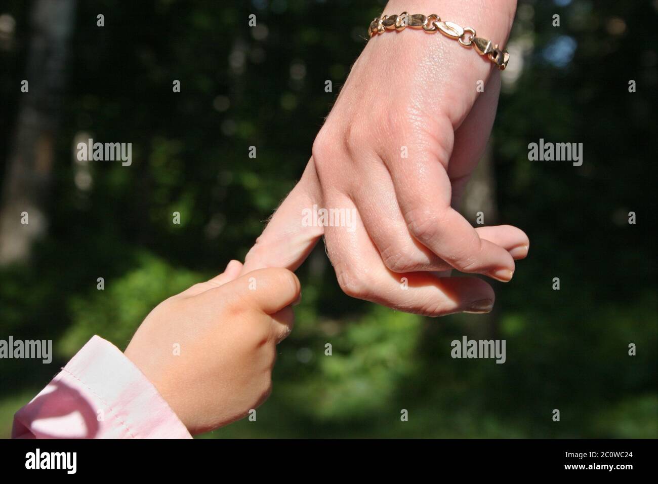 woman humans human beings people folk persons human human being hand ...