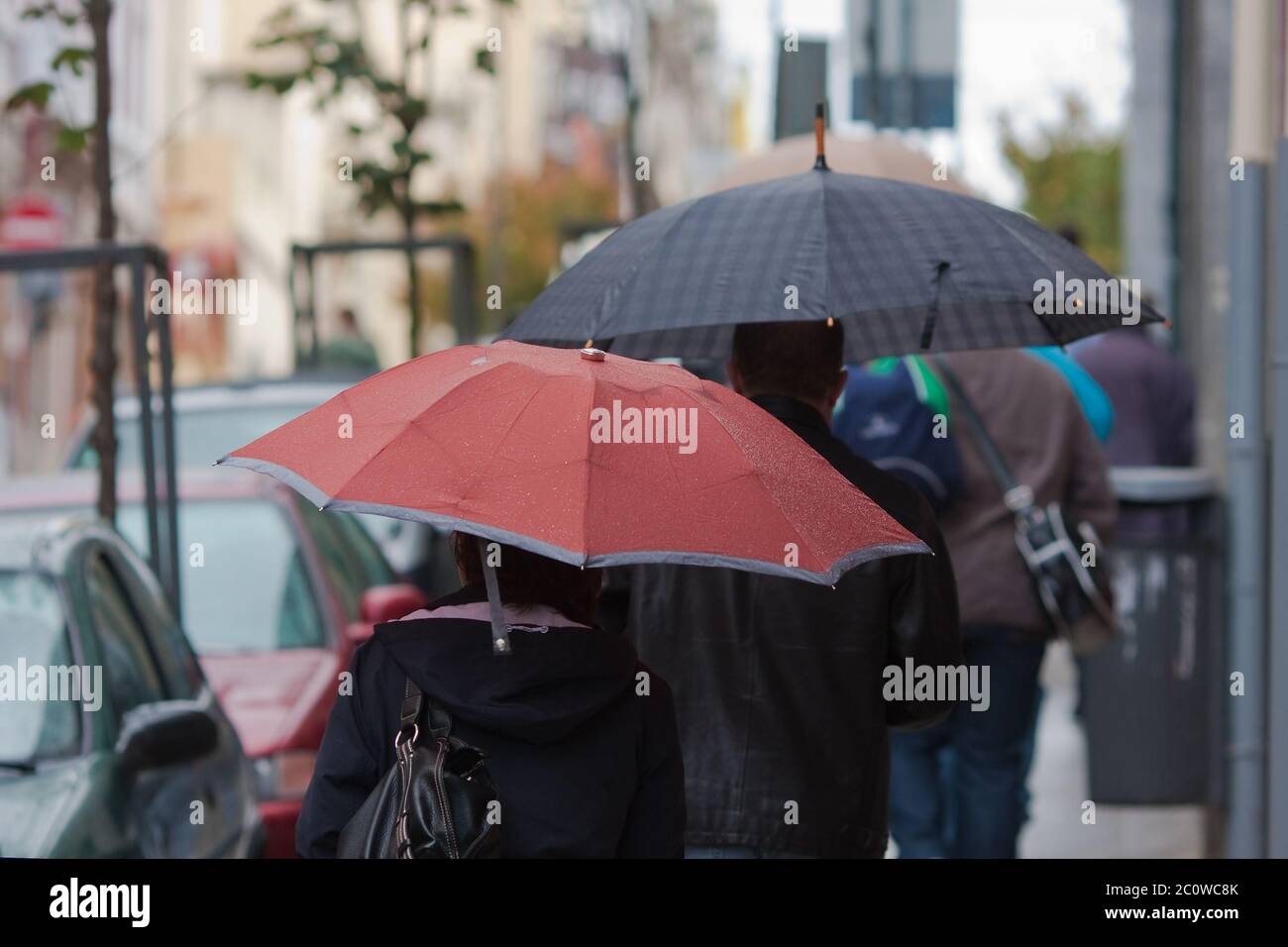 humans human beings people folk persons human human being city town ...