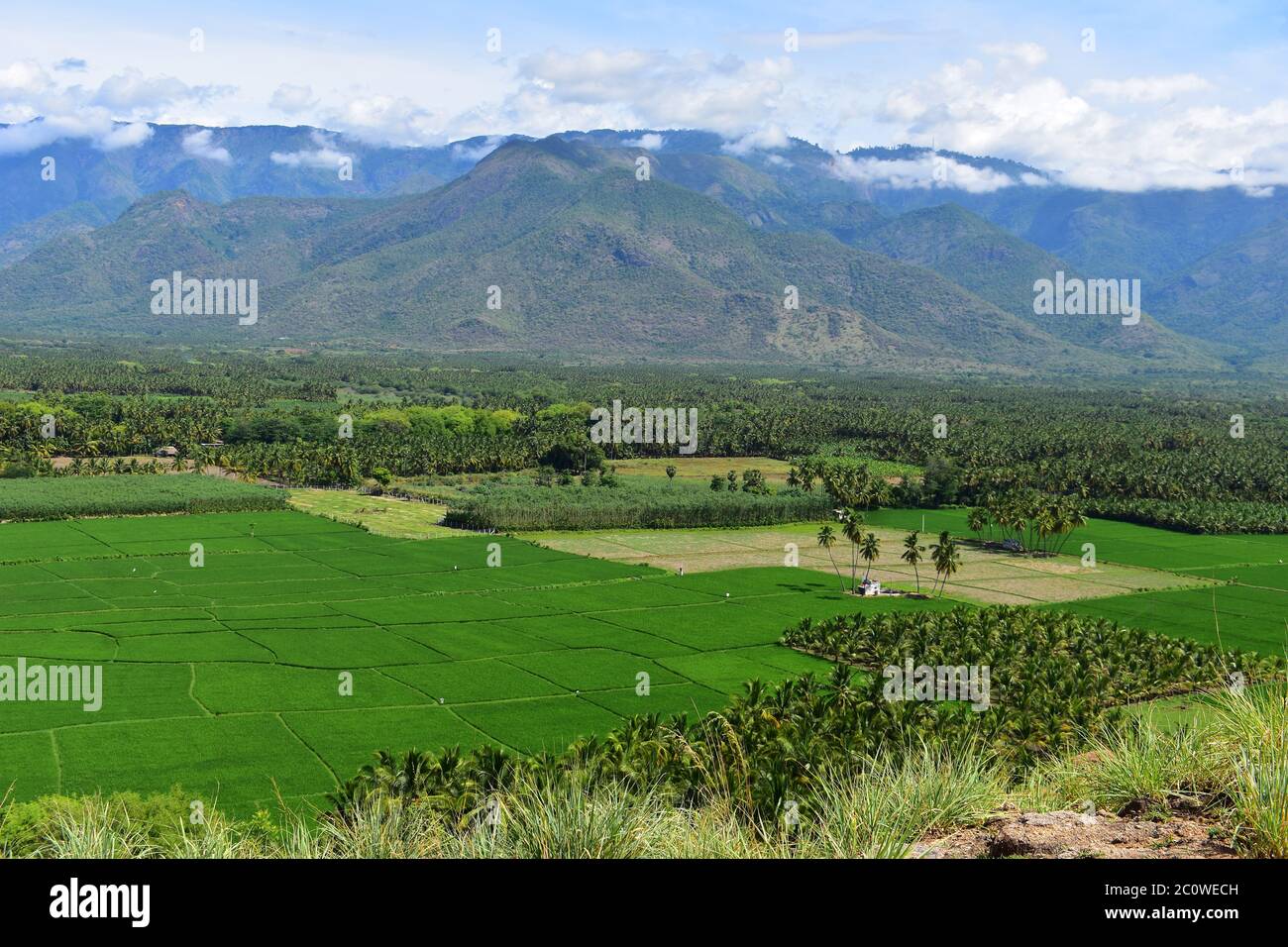 Thailaramman Temple in Periyakulam Tamilnadu Stock Photo - Alamy
