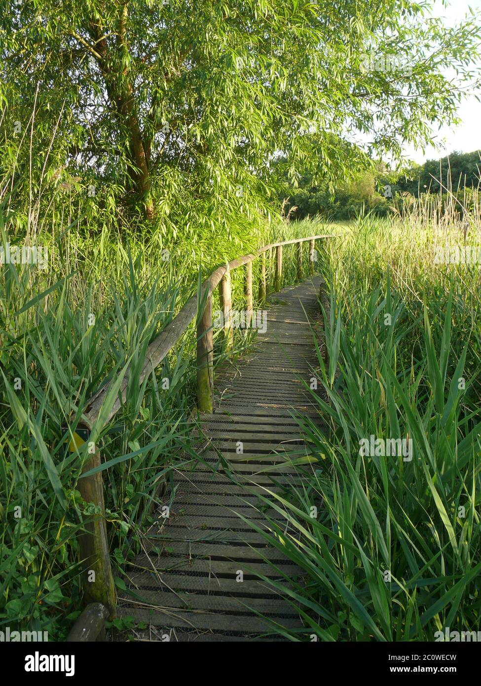 Small bridge long path hi-res stock photography and images - Alamy