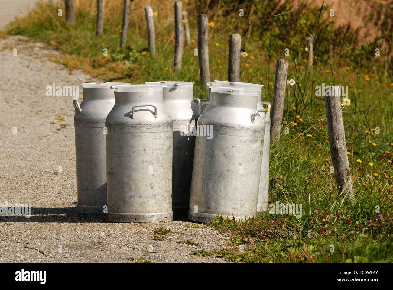 agriculture farming alps summit milk alpine dairy cans cooperative ...
