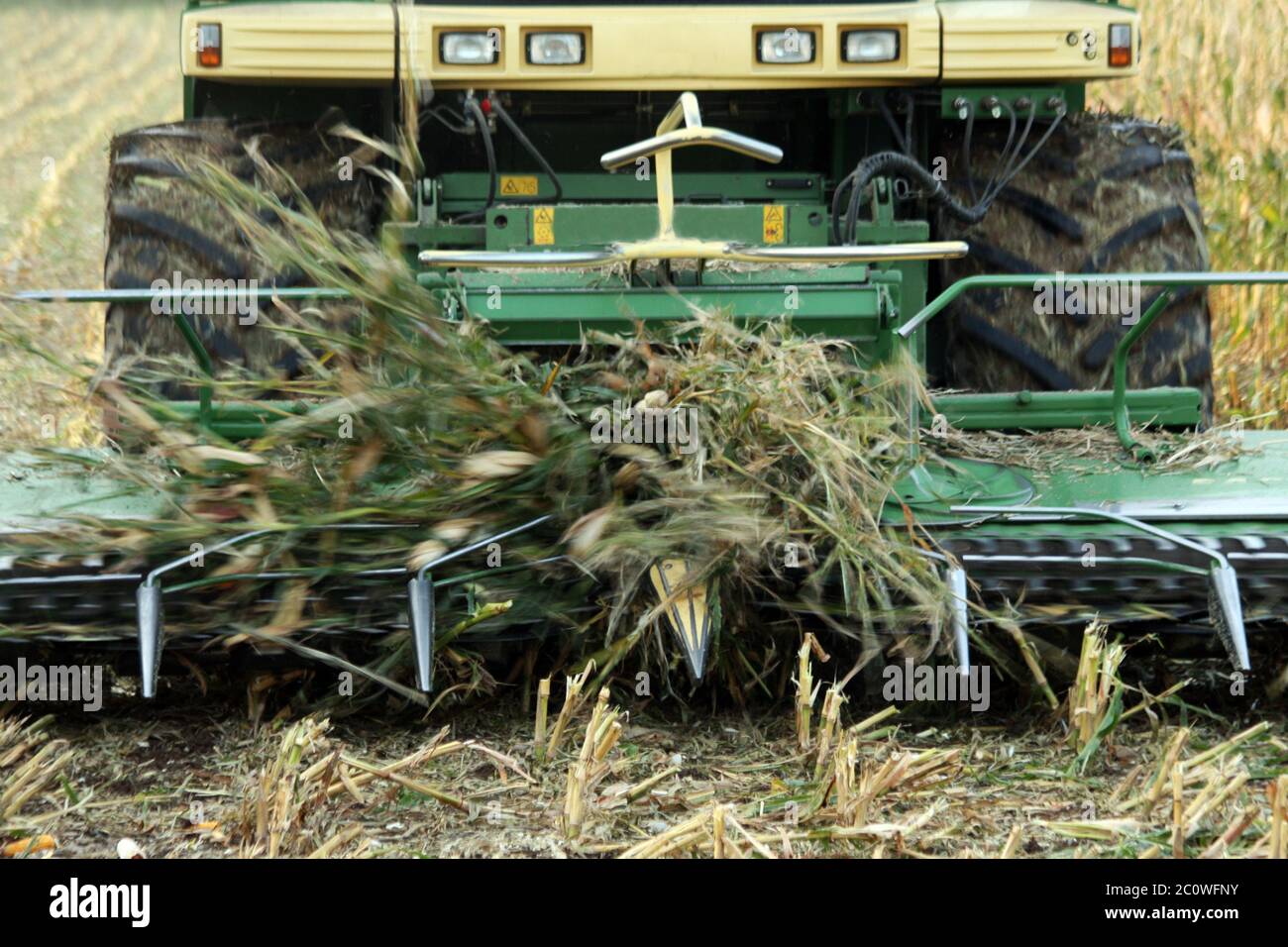corn, corncob, fodder, cornfield, chopper, harvest, corn, corncob ...