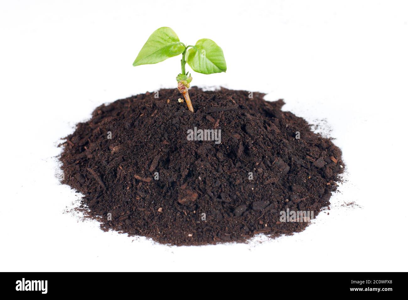 Humus dirt hi-res stock photography and images - Alamy