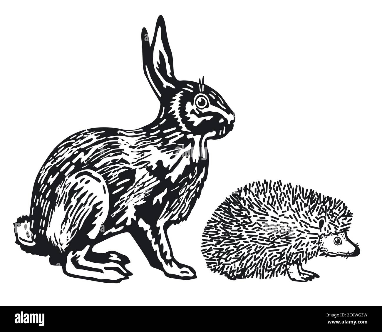 The hare and the hedgehog hi-res stock photography and images - Alamy