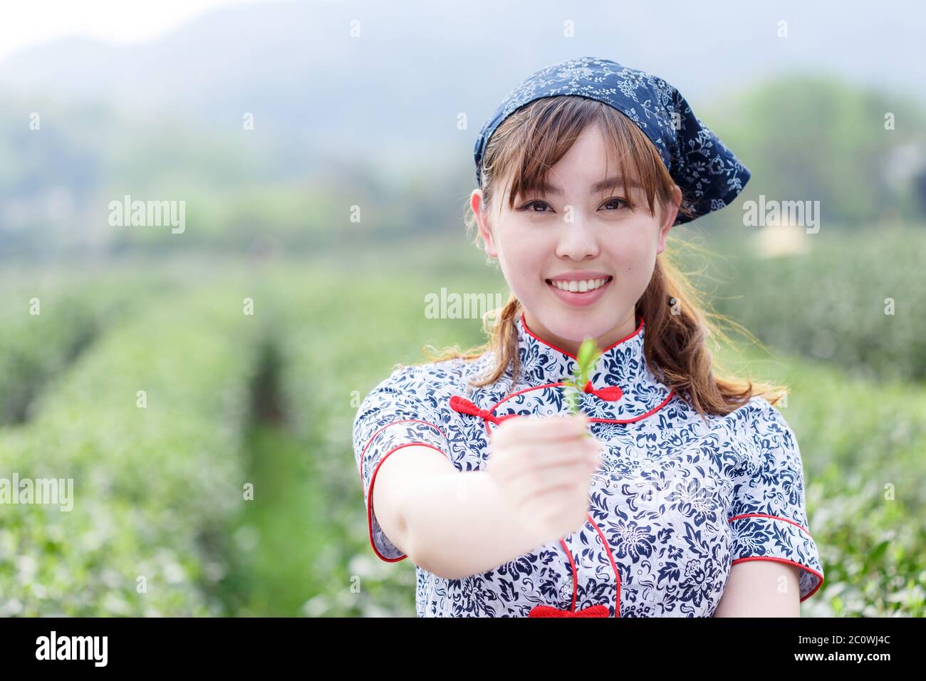 asian beautiful tea girl in plantation Stock Photo - Alamy