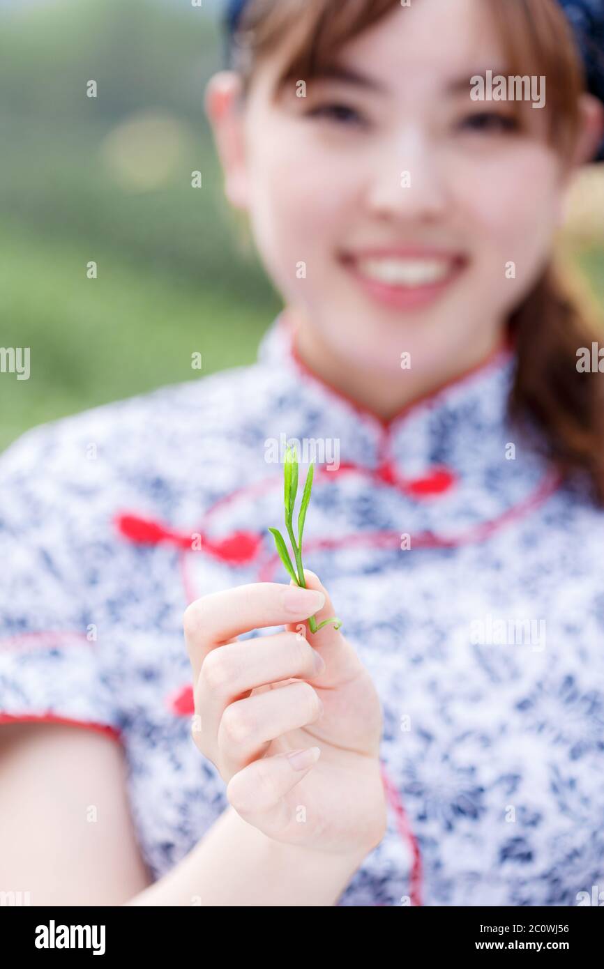 asian beautiful tea girl in plantation Stock Photo - Alamy