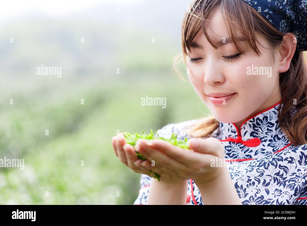 asian beautiful tea girl in plantation Stock Photo - Alamy