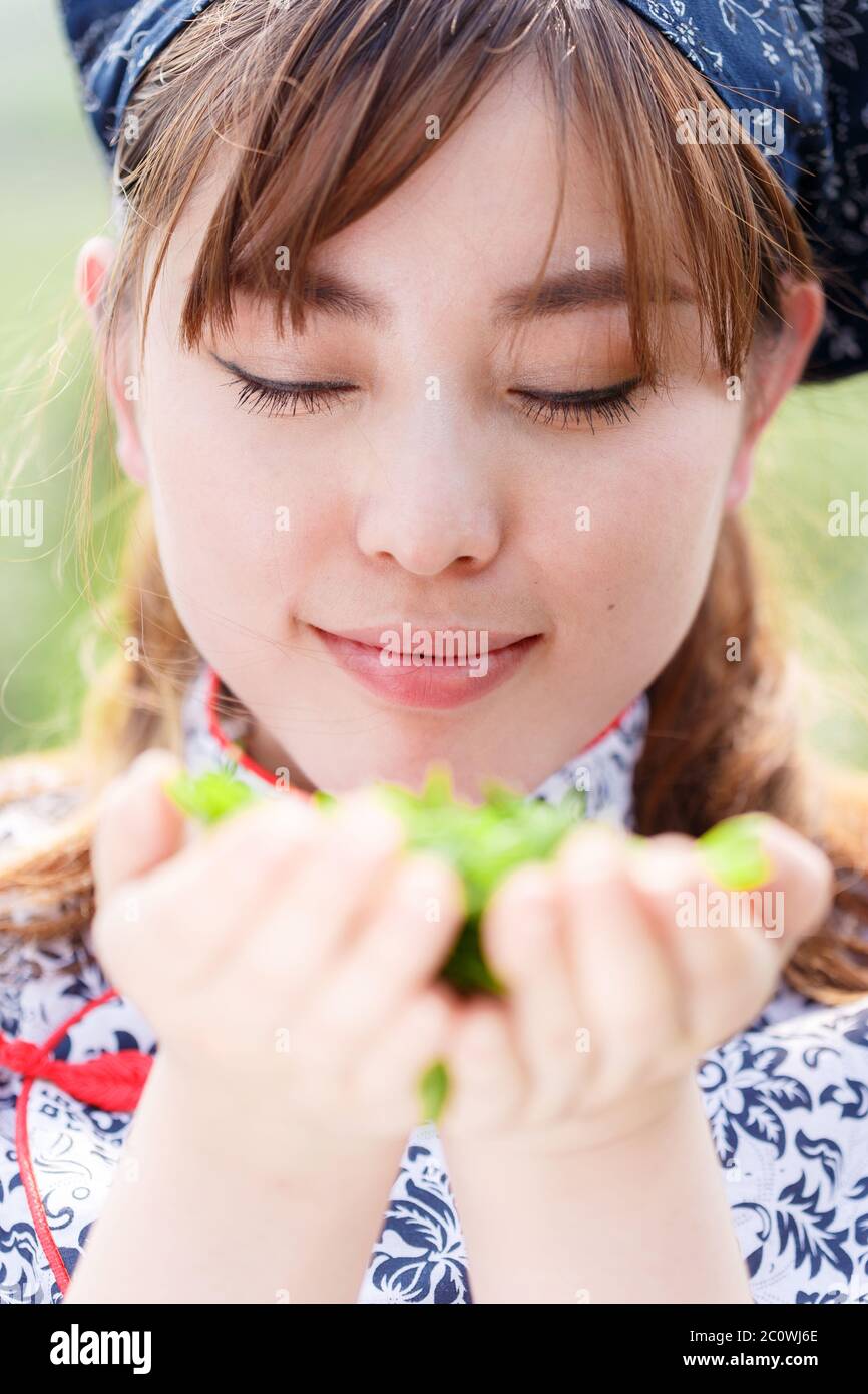 asian beautiful tea girl in plantation Stock Photo - Alamy