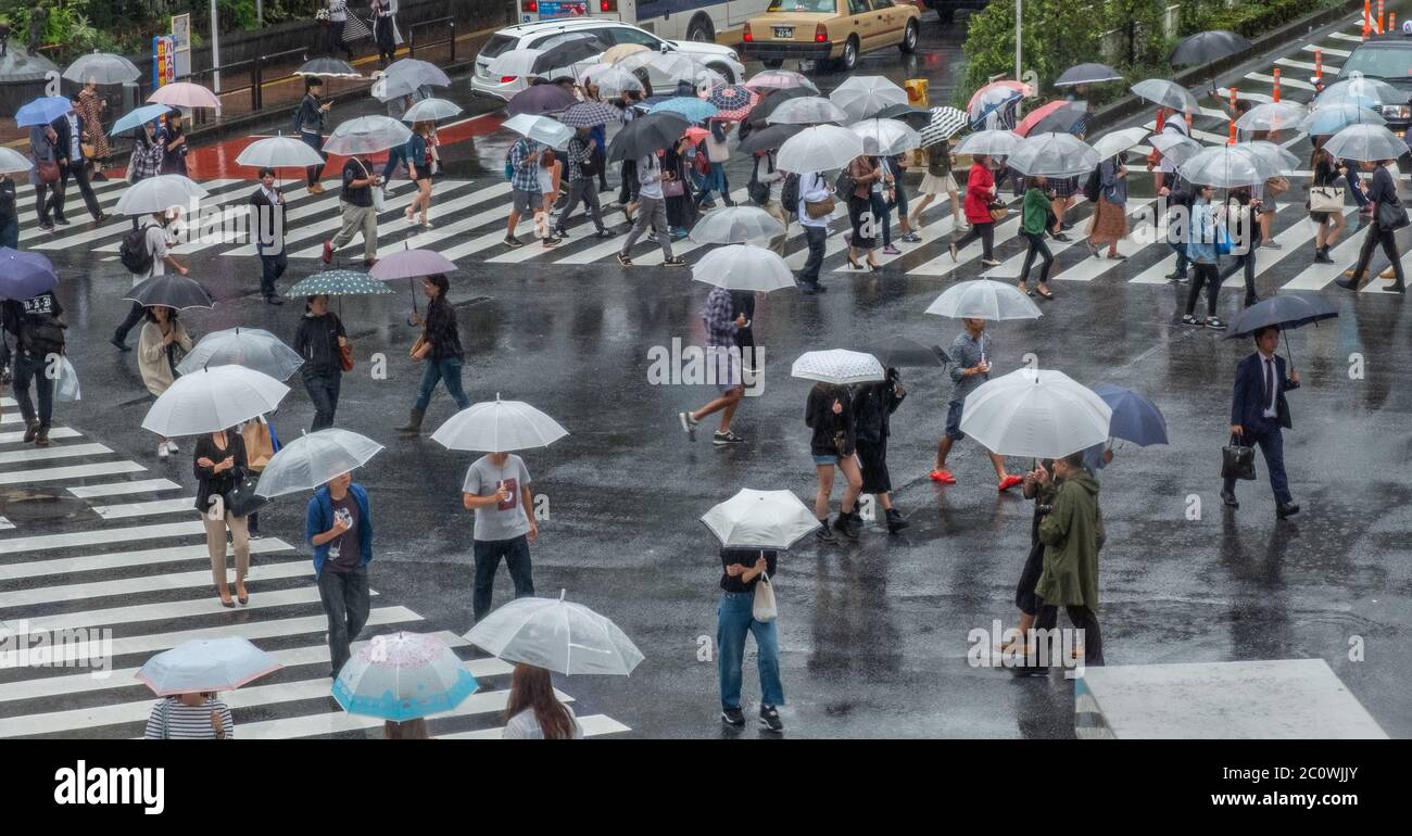 Pedestrian crowd with umbrella walking at the famous Shibuya scramble ...