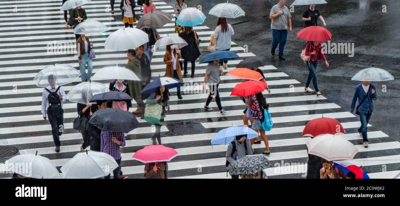 Pedestrian crowd with umbrella walking at the famous Shibuya scramble ...