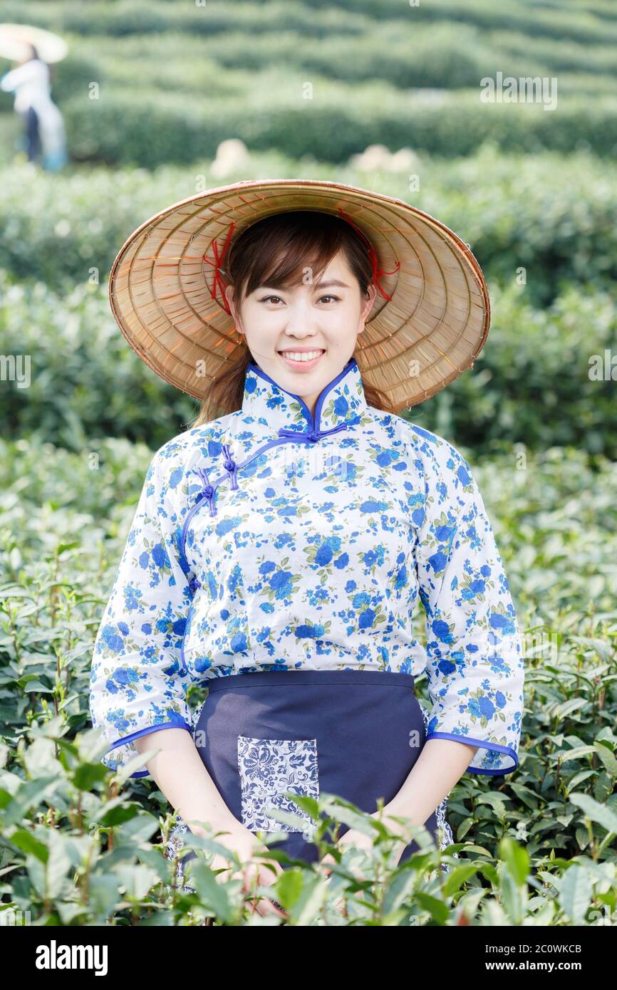 asian pretty tea-picking girl in plantation Stock Photo - Alamy