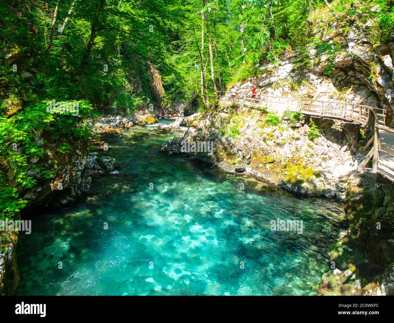 Pure blue water of Radovna river in Vintgar Gorge. Natural waterfalls ...