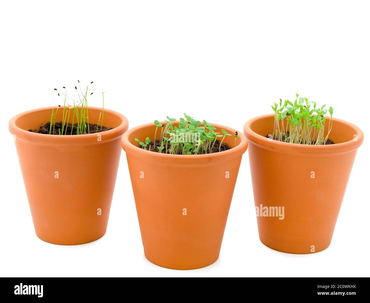 The beginning of survival Cut Out Stock Images & Pictures - Alamy