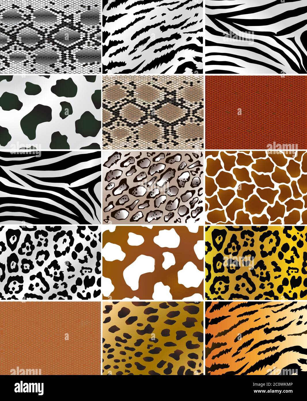 Smooth scaly skin hi-res stock photography and images - Alamy