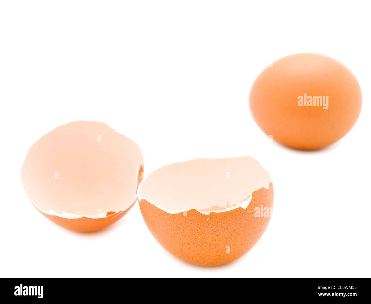 egg and shell Stock Photo - Alamy