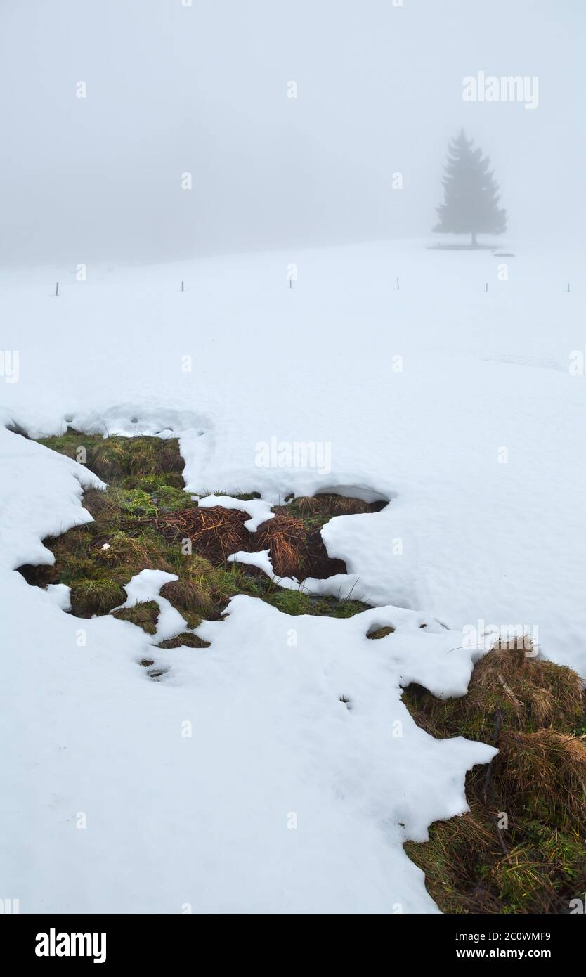 Spring snow mountain hi-res stock photography and images - Alamy