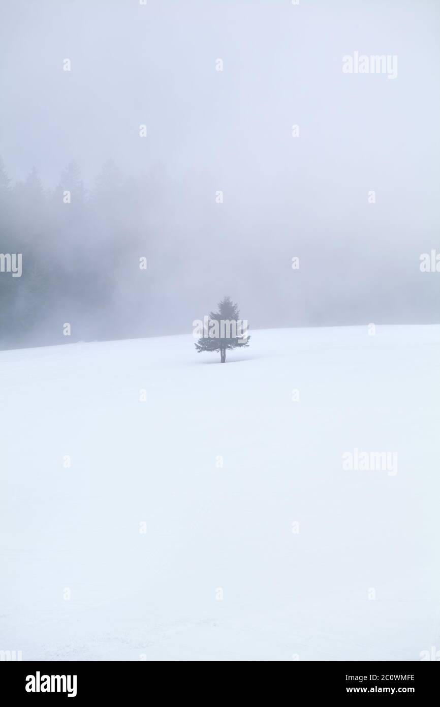 Alone fog one single hi-res stock photography and images - Alamy