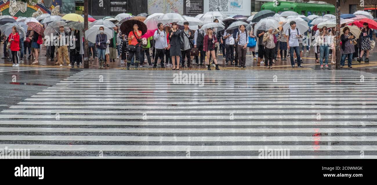 Pedestrian crowd with umbrella waiting to cross the famous Shibuya ...