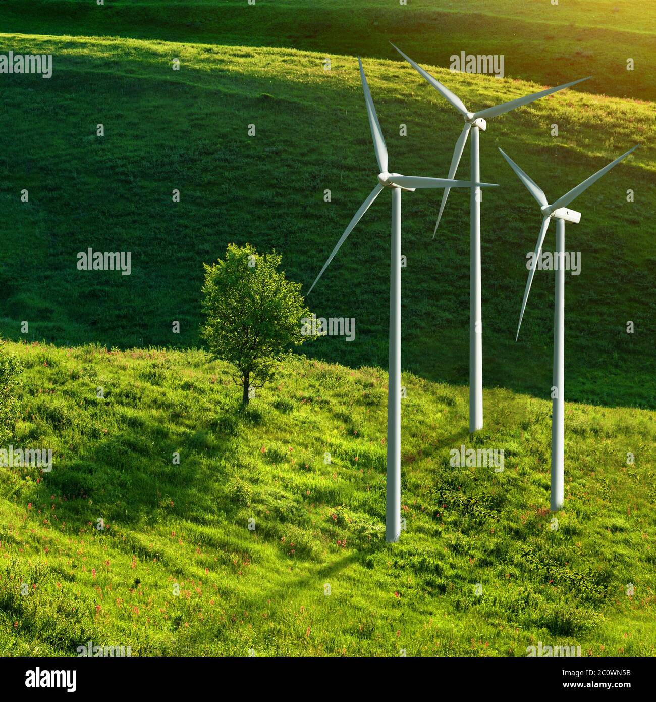 Wind turbines on green meadow hi-res stock photography and images - Alamy
