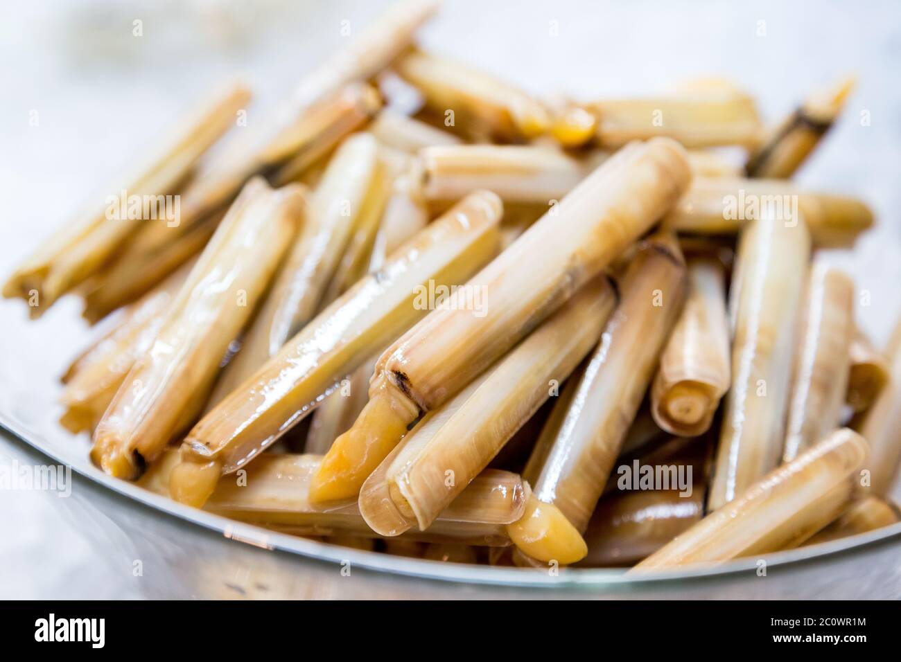 Razor shell white background hi-res stock photography and images - Alamy