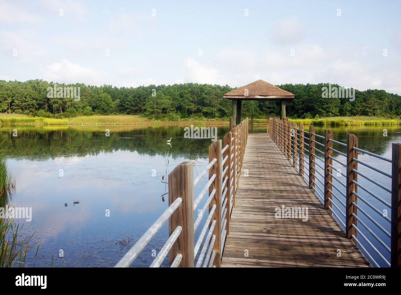 View across the expansive salt marsh at Huntington Beach State Park, South Carolina, USA. Low ...