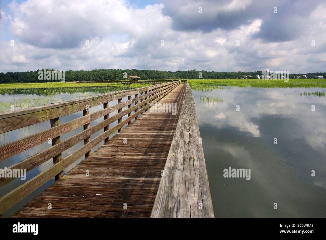 Huntington Beach State Park, South Carolina, USA. View from the wooden boardwalk on the ...