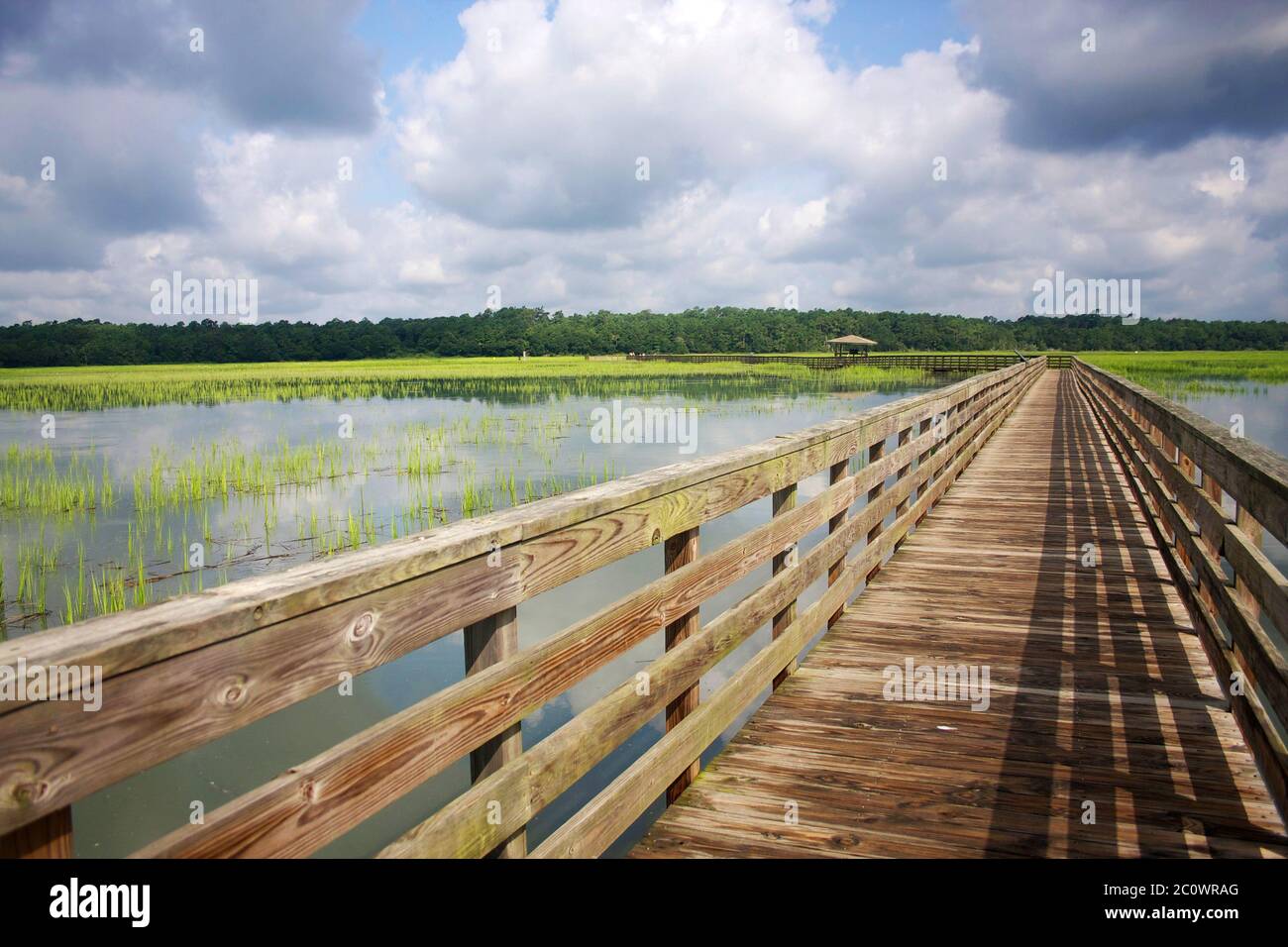 Huntington Beach State Park, South Carolina, USA. View from the wooden boardwalk on the ...
