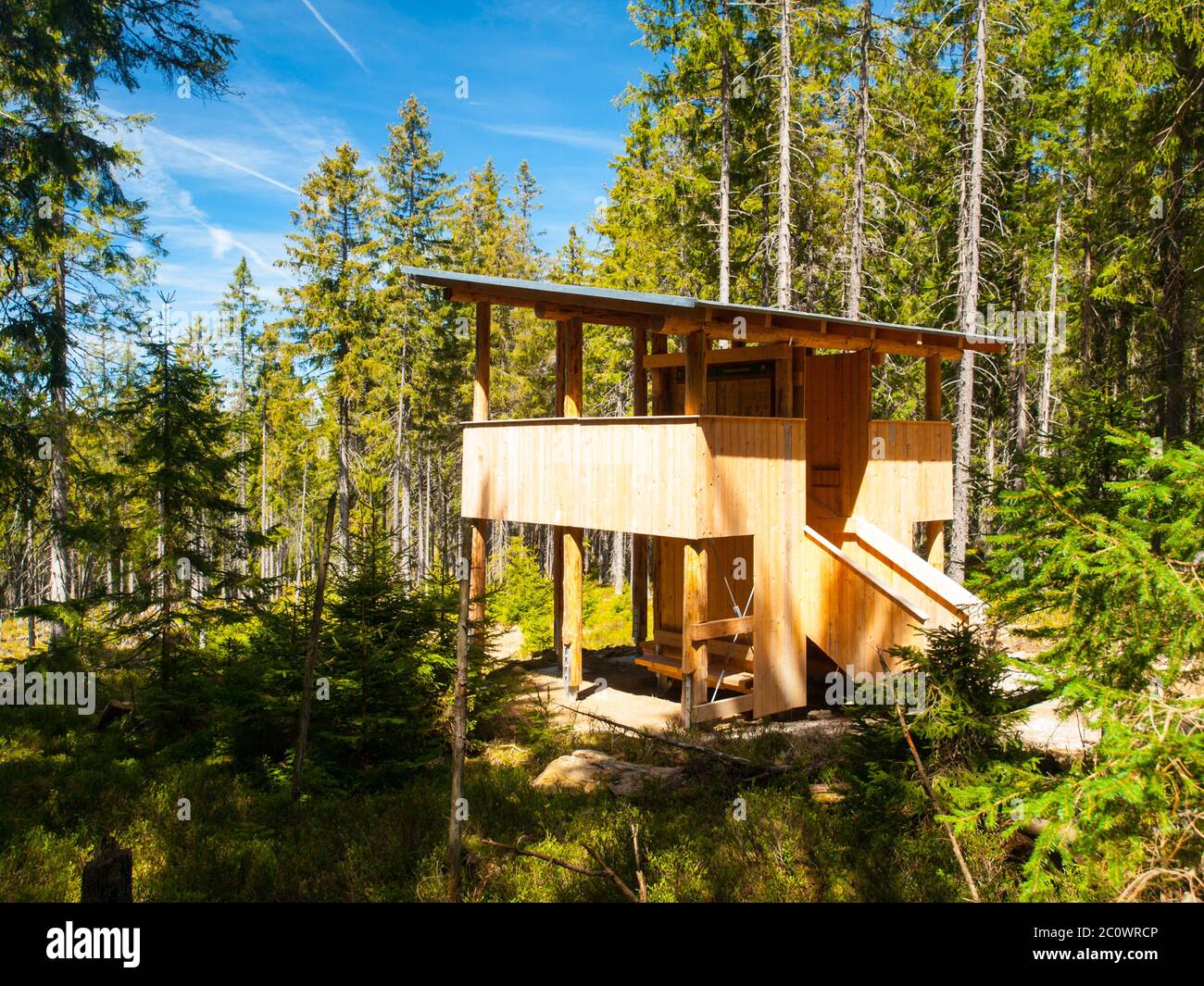 Wildlife watchpoint hi-res stock photography and images - Alamy