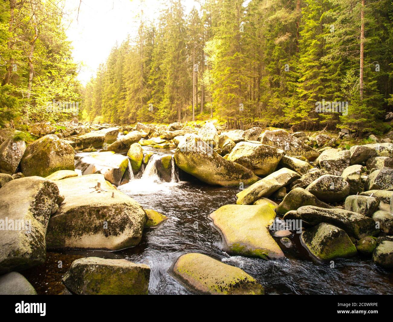 Sumava national park hi-res stock photography and images - Alamy