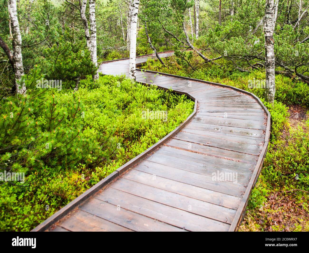 Wet in outdoor environment hi-res stock photography and images - Alamy