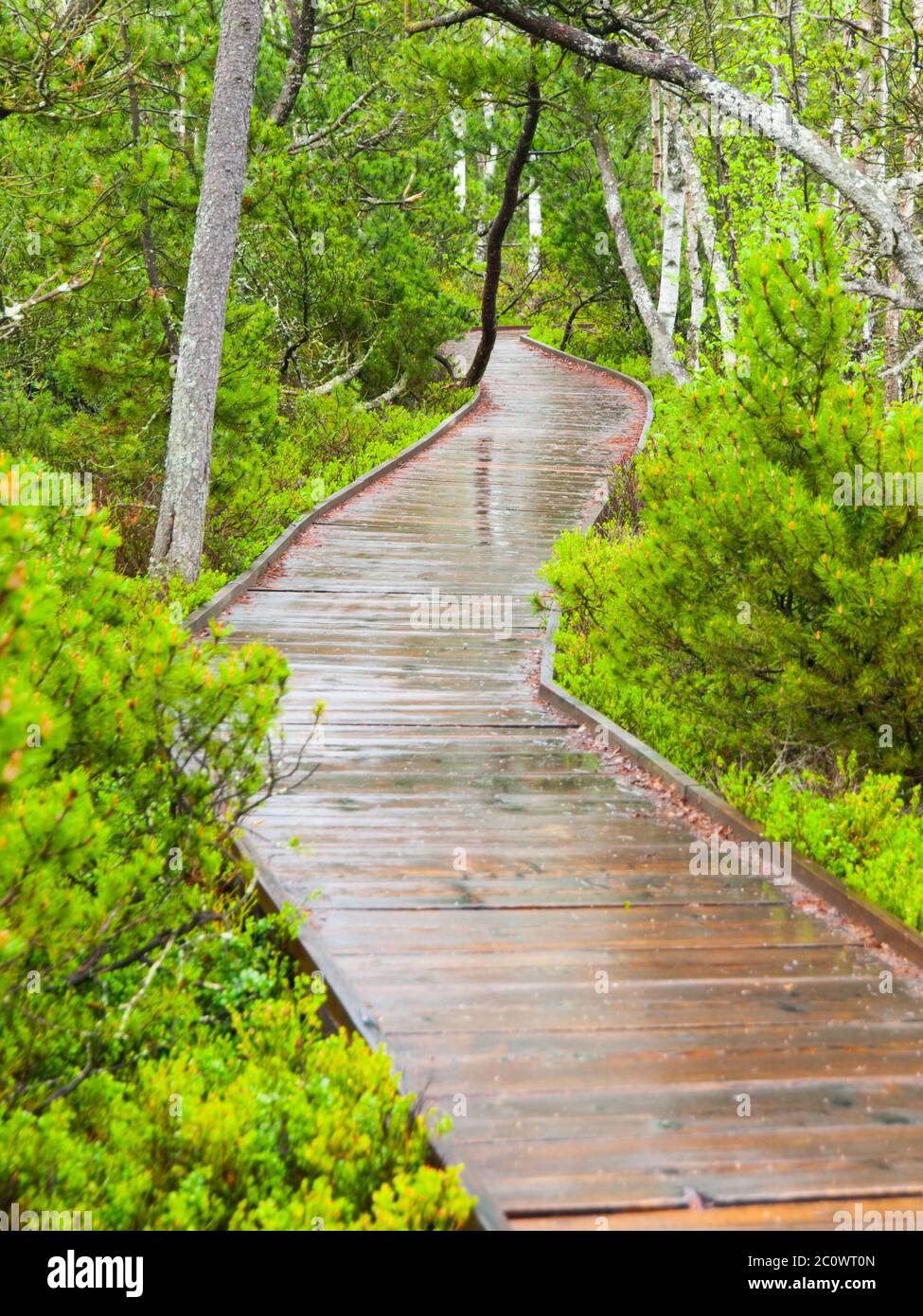 Moor adventure trail hi-res stock photography and images - Alamy