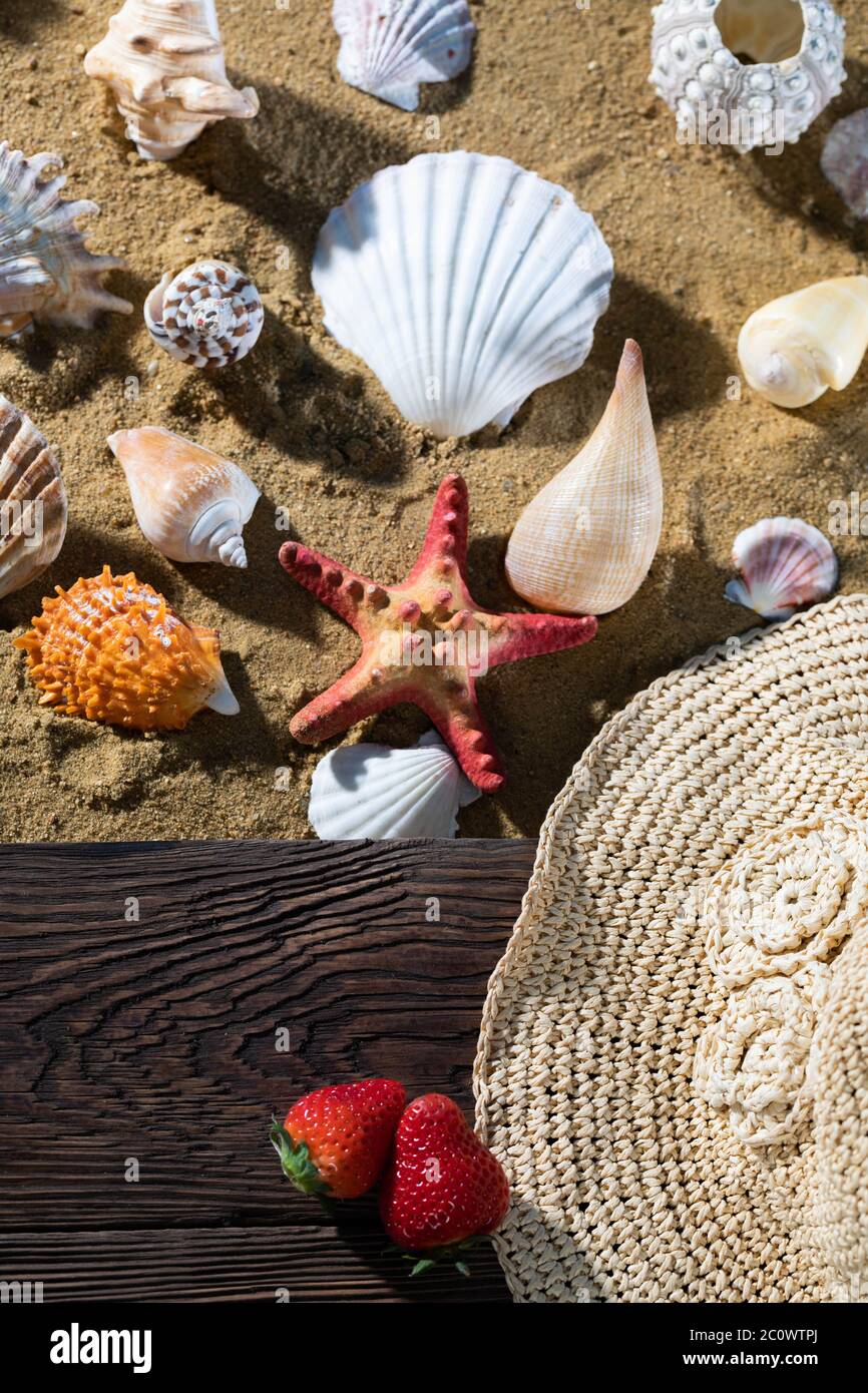 Sea beach full of various shells. Sandy beach. Two ripe strawberries ...