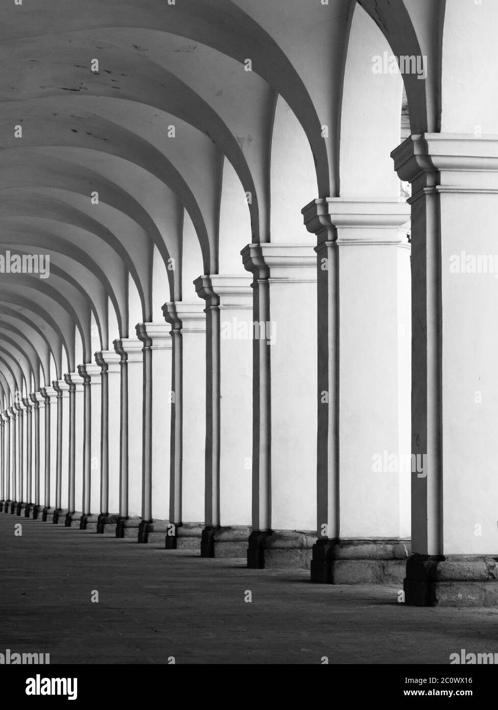 Row of column in colonnade. Perspective view of long arc vault corridor ...