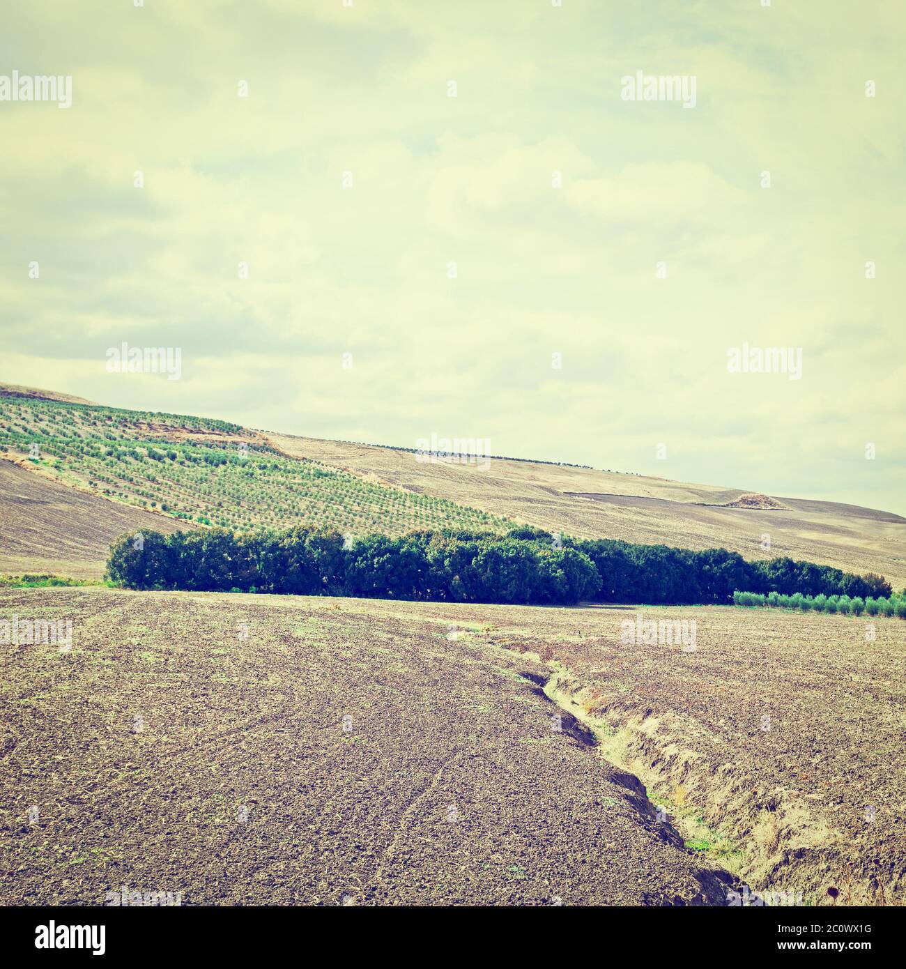 Sloping arable land hi-res stock photography and images - Alamy