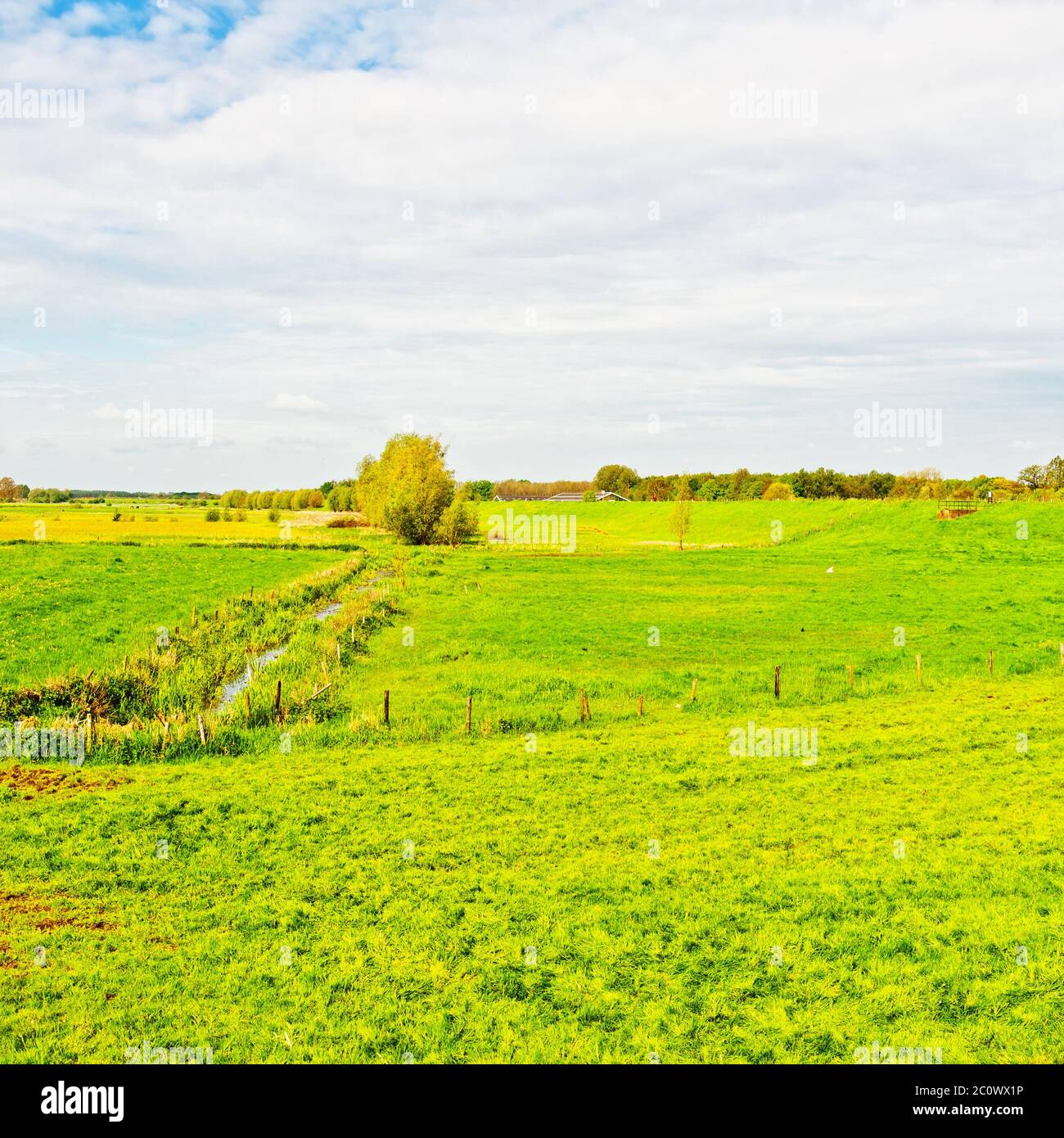 Wet pasture hi-res stock photography and images - Alamy
