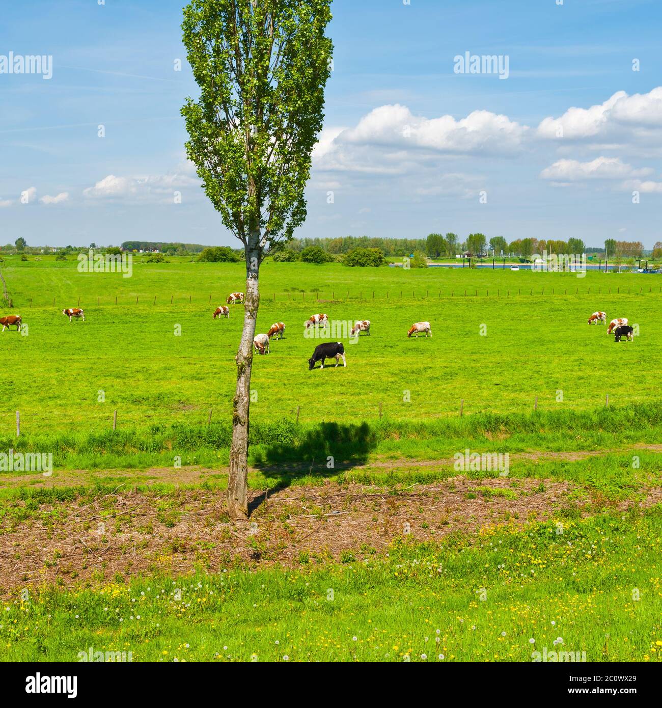 Floodplain agriculture hi-res stock photography and images - Alamy